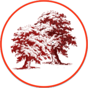 Limbrick Wood Primary School – Finham Park Multi Academy Trust